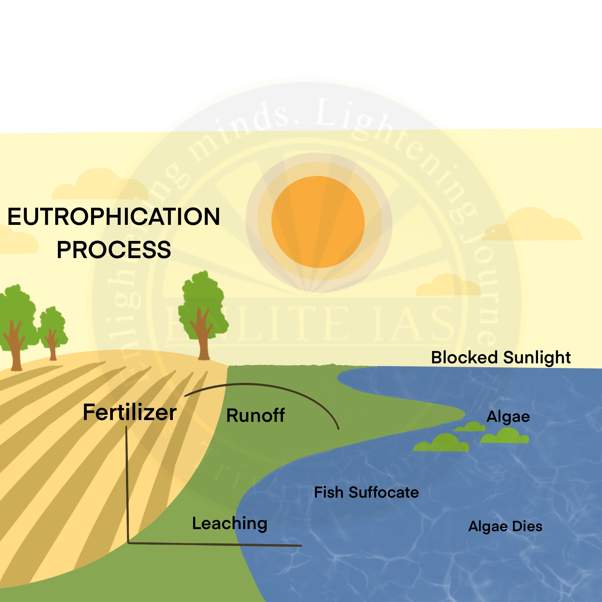 Ecology: Eutrophication | Enlite Cafe
