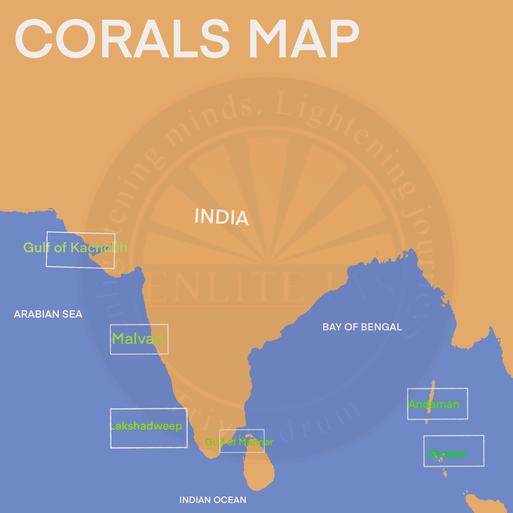 Ecology: Corals | Enlite Cafe