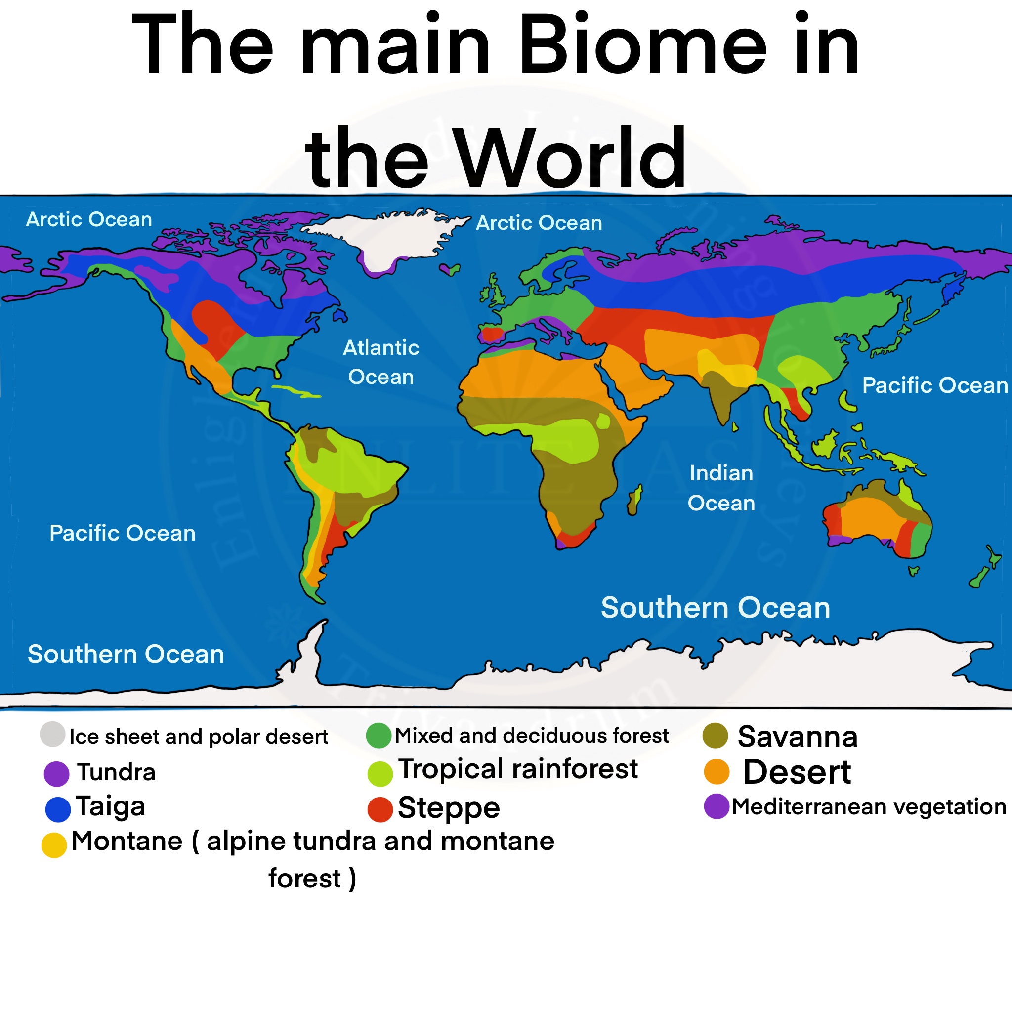 Biodiversity: Biomes in The World | Enlite Cafe