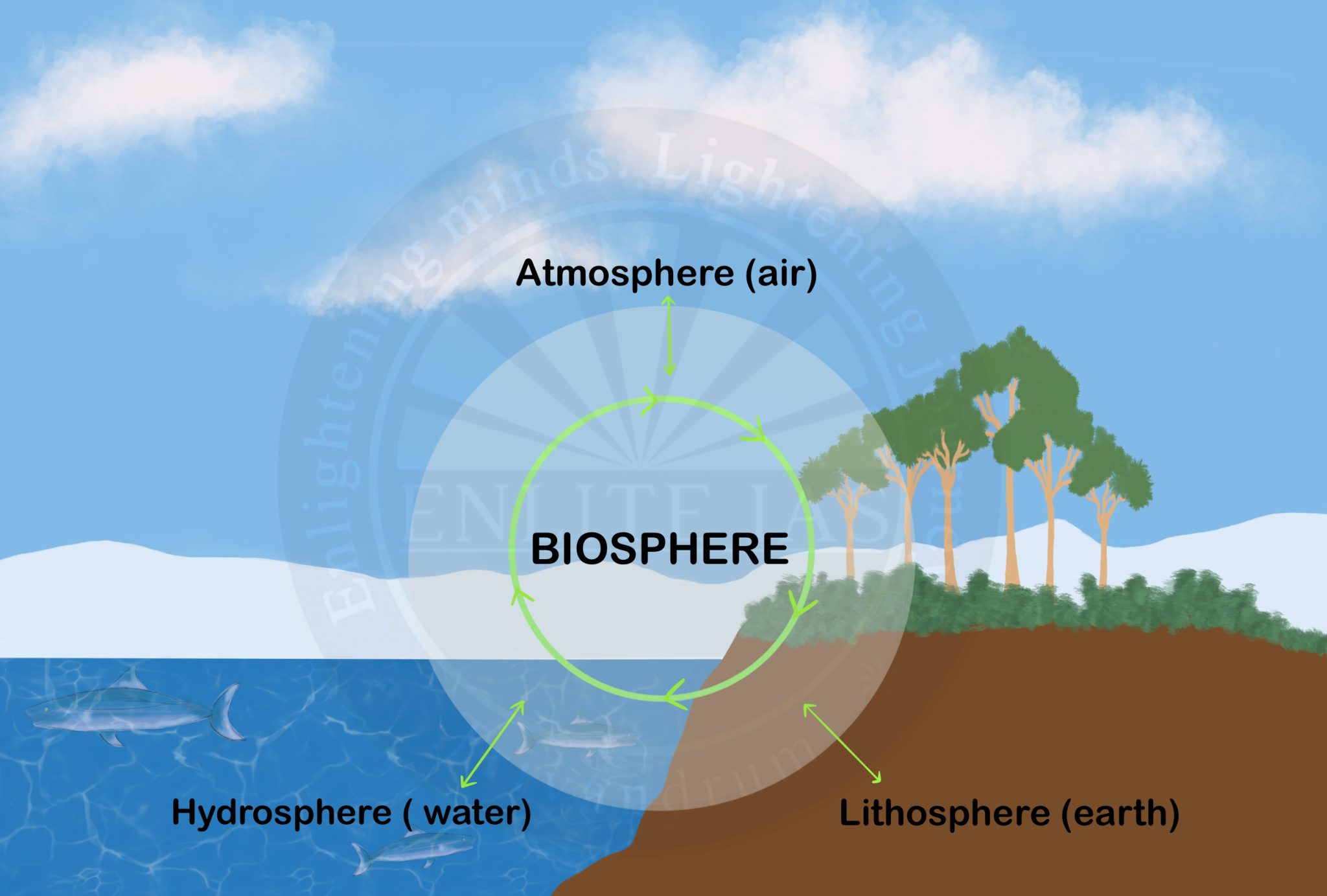 Biosphere Reserve | Enlite Cafe