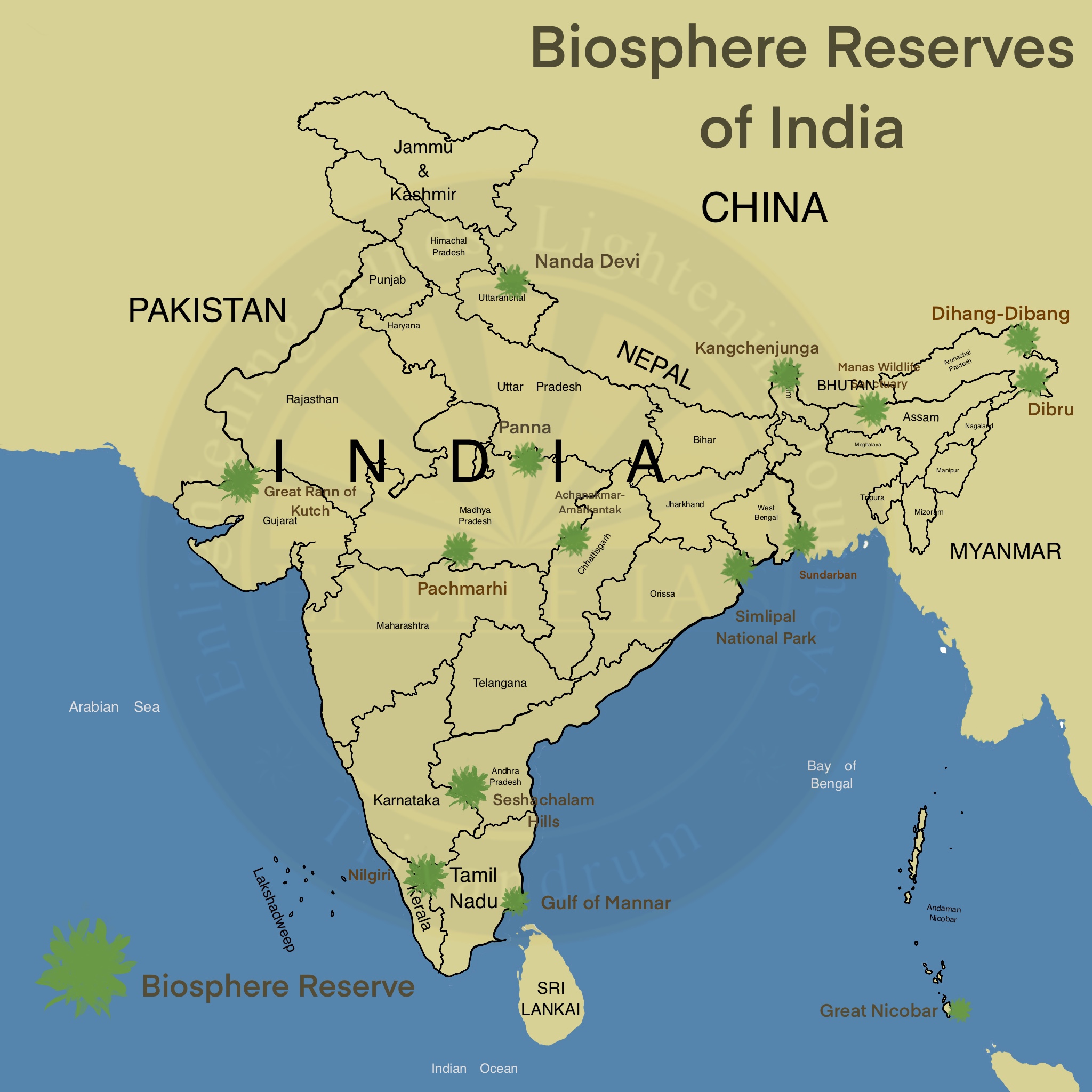 Biosphere Reserve | Enlite Cafe