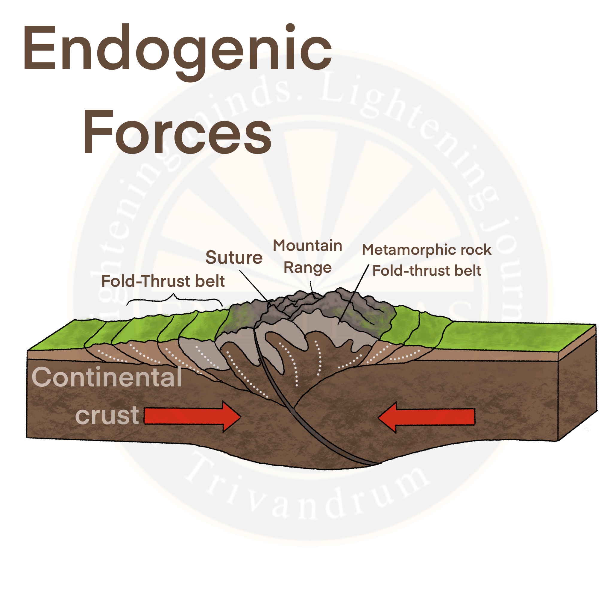Endogenic Forces | Enlite Cafe