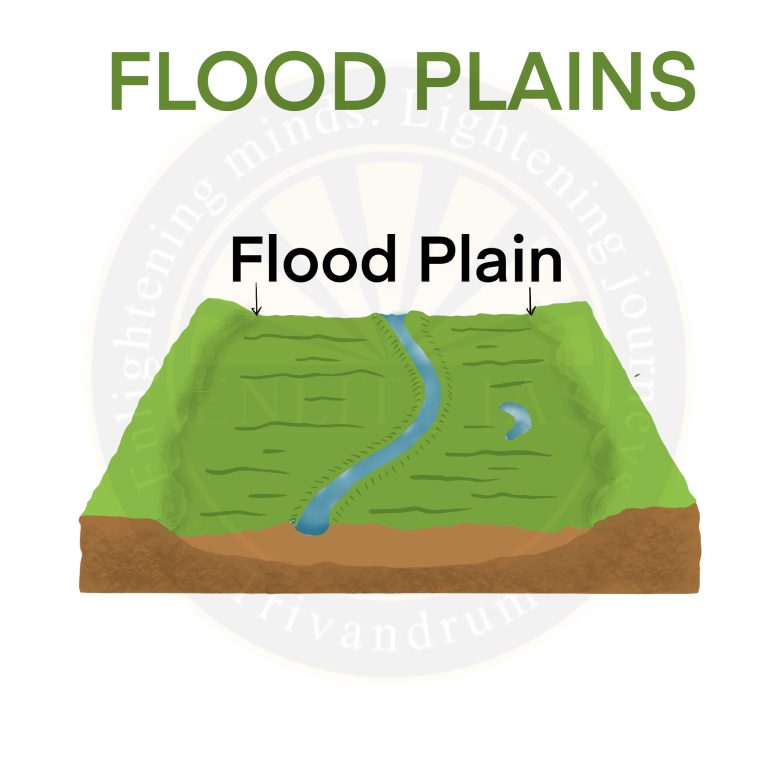 Fluvial Landforms: Depositional Landforms | Enlite Cafe