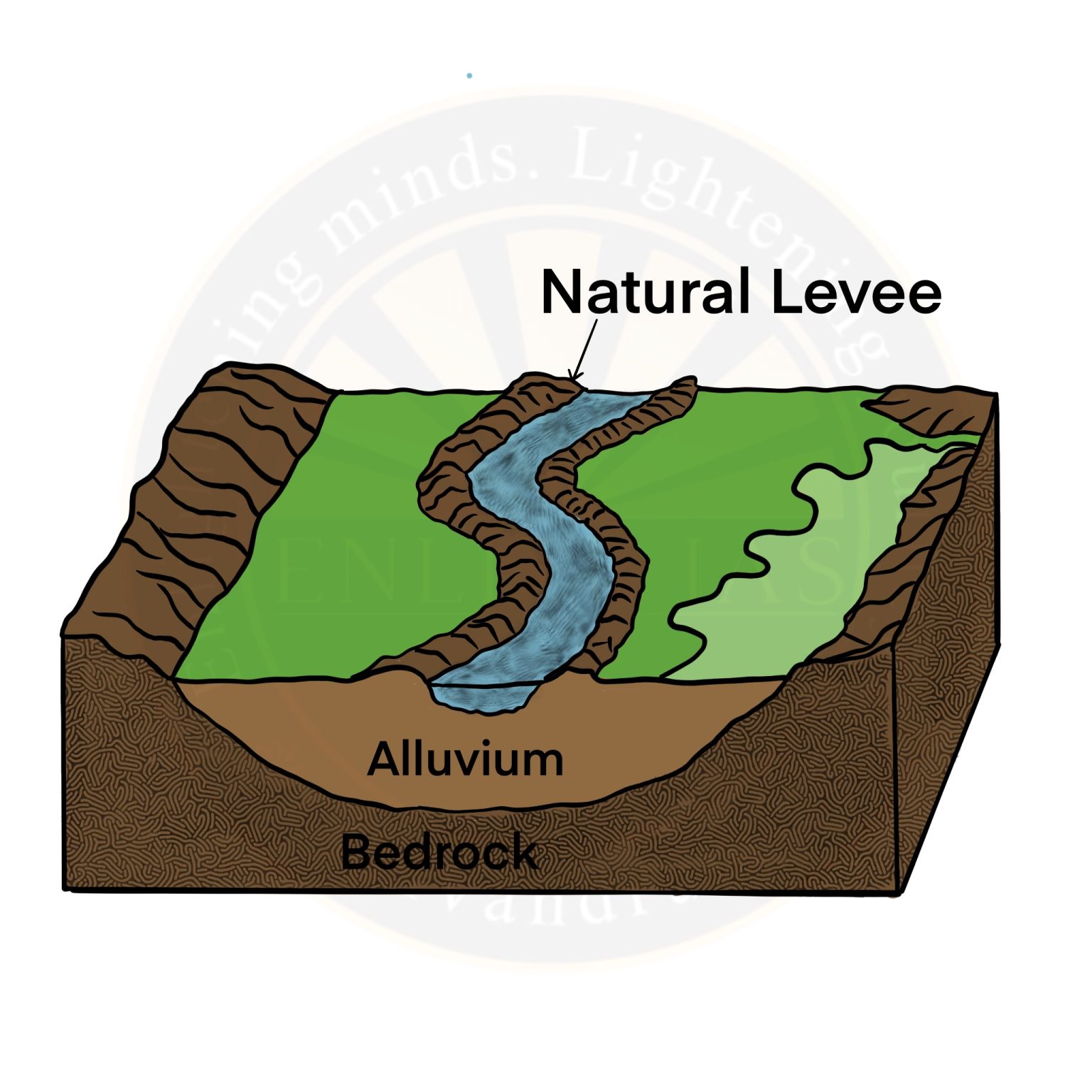 Fluvial Landforms: Depositional Landforms | Enlite Cafe