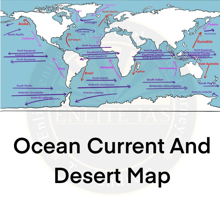 Oceanography: Ocean Currents | Enlite Cafe