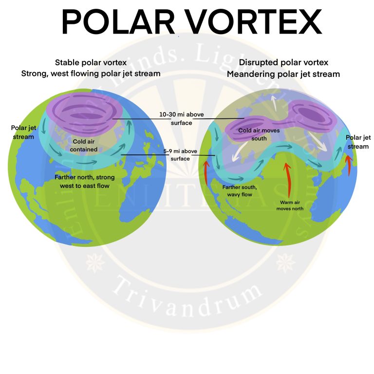 Polar Vortex | Enlite Cafe